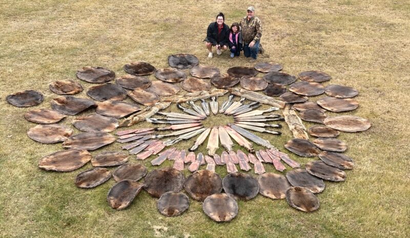 National Trappers Convention returning to Esky | News, Sports, Jobs ...